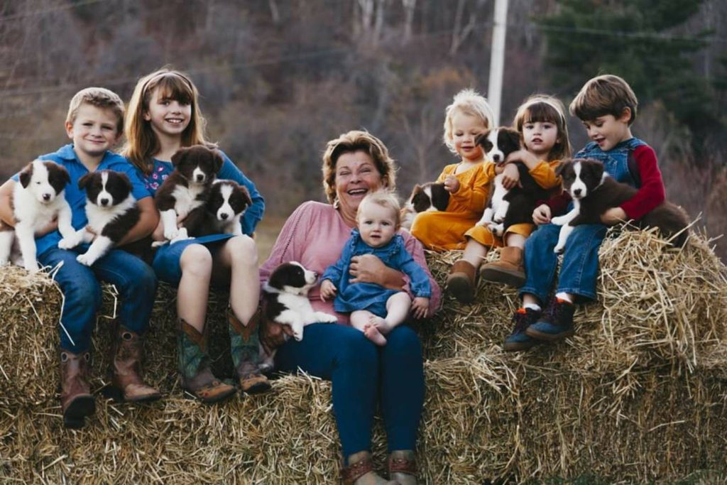 About - Hessian Hill Farm